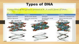 Classification of proteins, nucleic acid.pptx