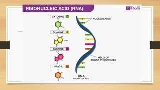 Classification of proteins, nucleic acid.pptx