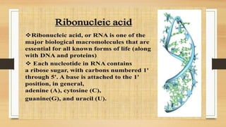 Classification of proteins, nucleic acid.pptx