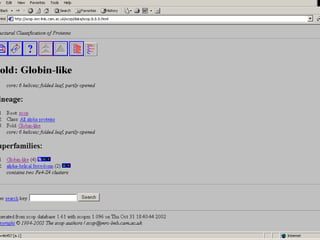 Classification_of_protein_structure.ppt | Databases | Computer Software and Applications