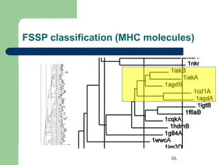 Classification_of_protein_structure.ppt | Databases | Computer Software and Applications