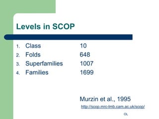 Classification_of_protein_structure.ppt | Databases | Computer Software ...