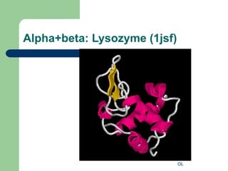 Classification_of_protein_structure.ppt | Databases | Computer Software and Applications
