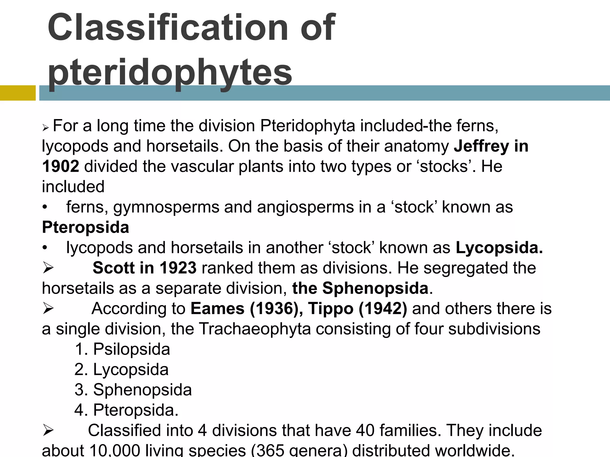 Classification of pteridophyta | PPTX