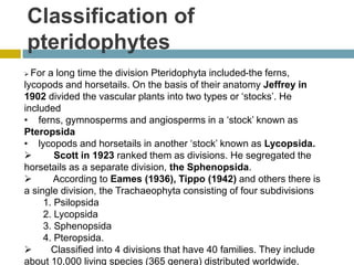 Classification of pteridophyta | PPTX