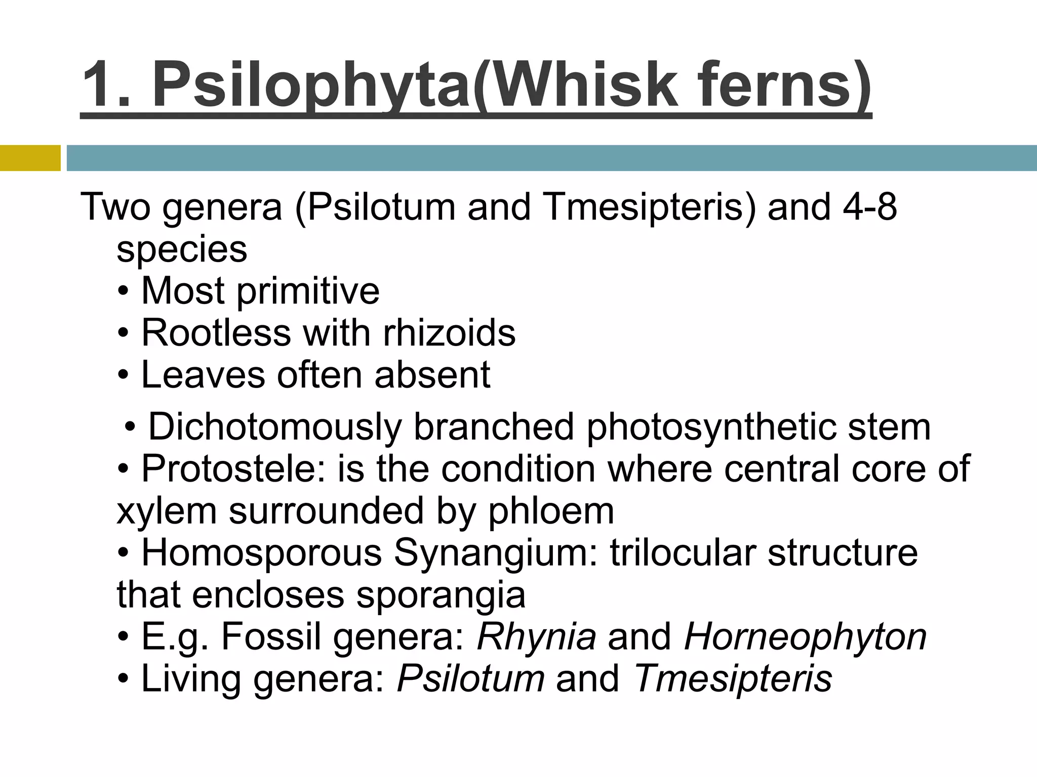classificationofpteridophyta.pdf