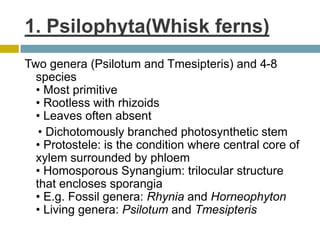 classificationofpteridophyta.pdf