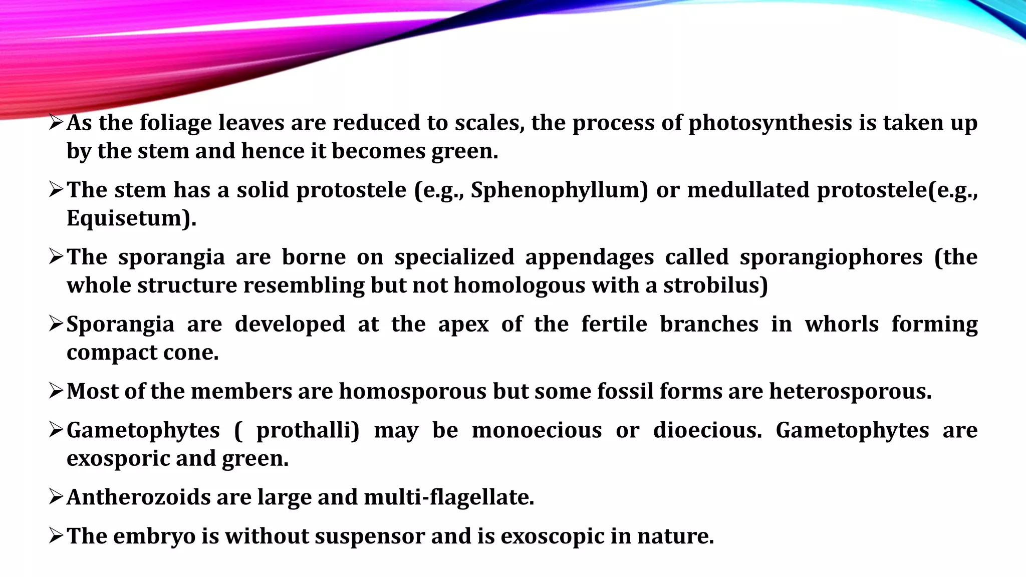 Classification of pteridophytes | PPTX