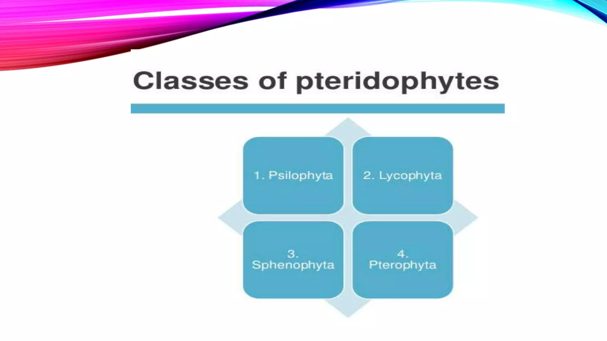 Classification of pteridophytes | PPTX