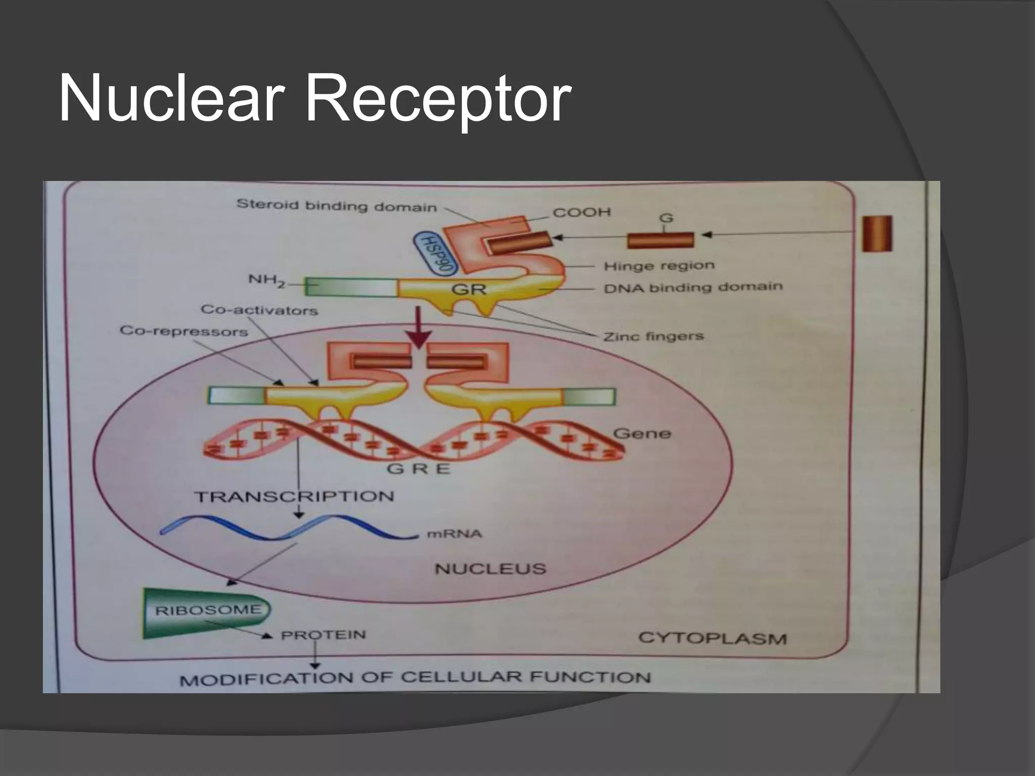 Classification of receptors family by vivek sharma | PPTX