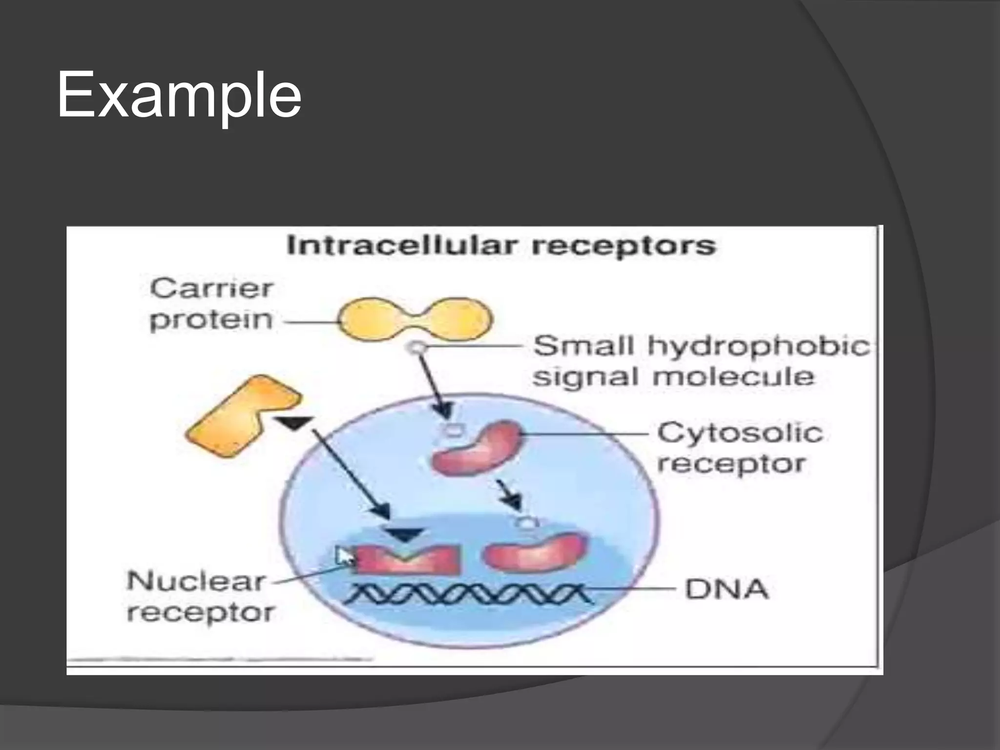 Classification of receptors family by vivek sharma | PPTX