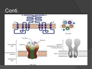 Classification of receptors family by vivek sharma | PPTX