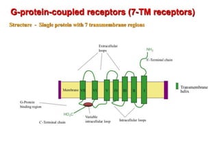 Classification of receptors family by vivek sharma | PPTX