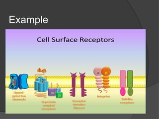 Classification of receptors family by vivek sharma | PPTX