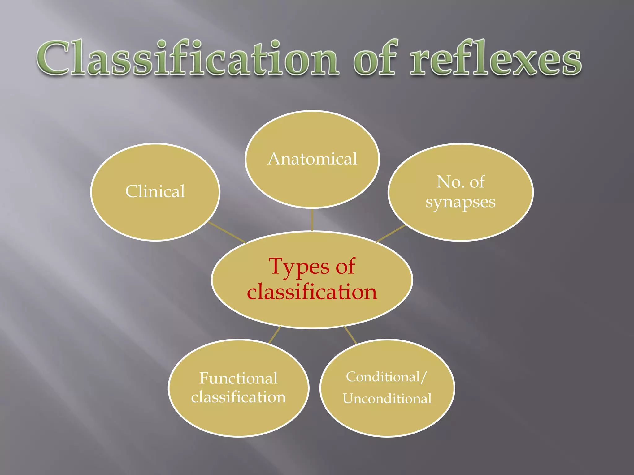 Classification of reflexes | PDF