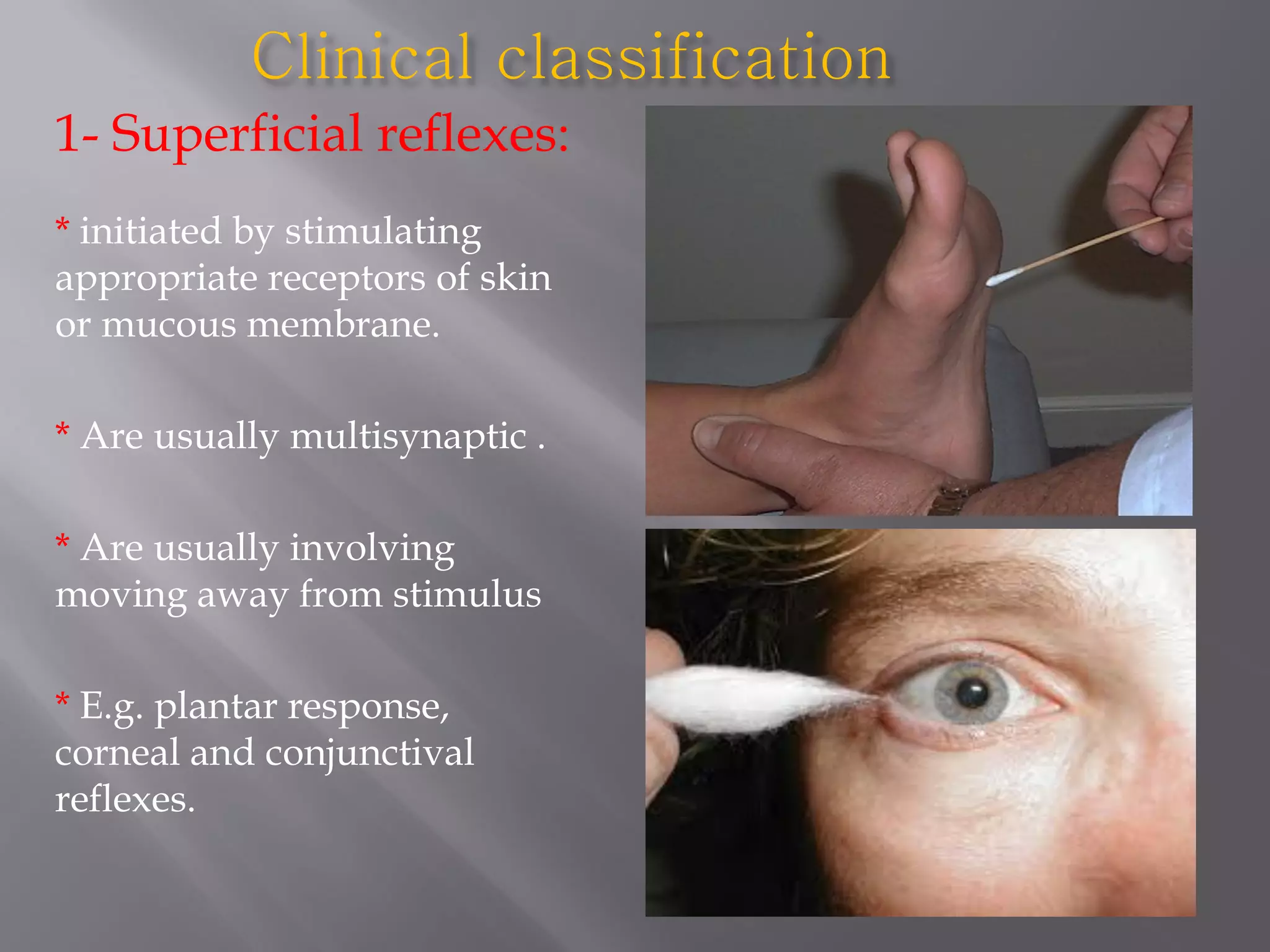 Classification of reflexes | PDF