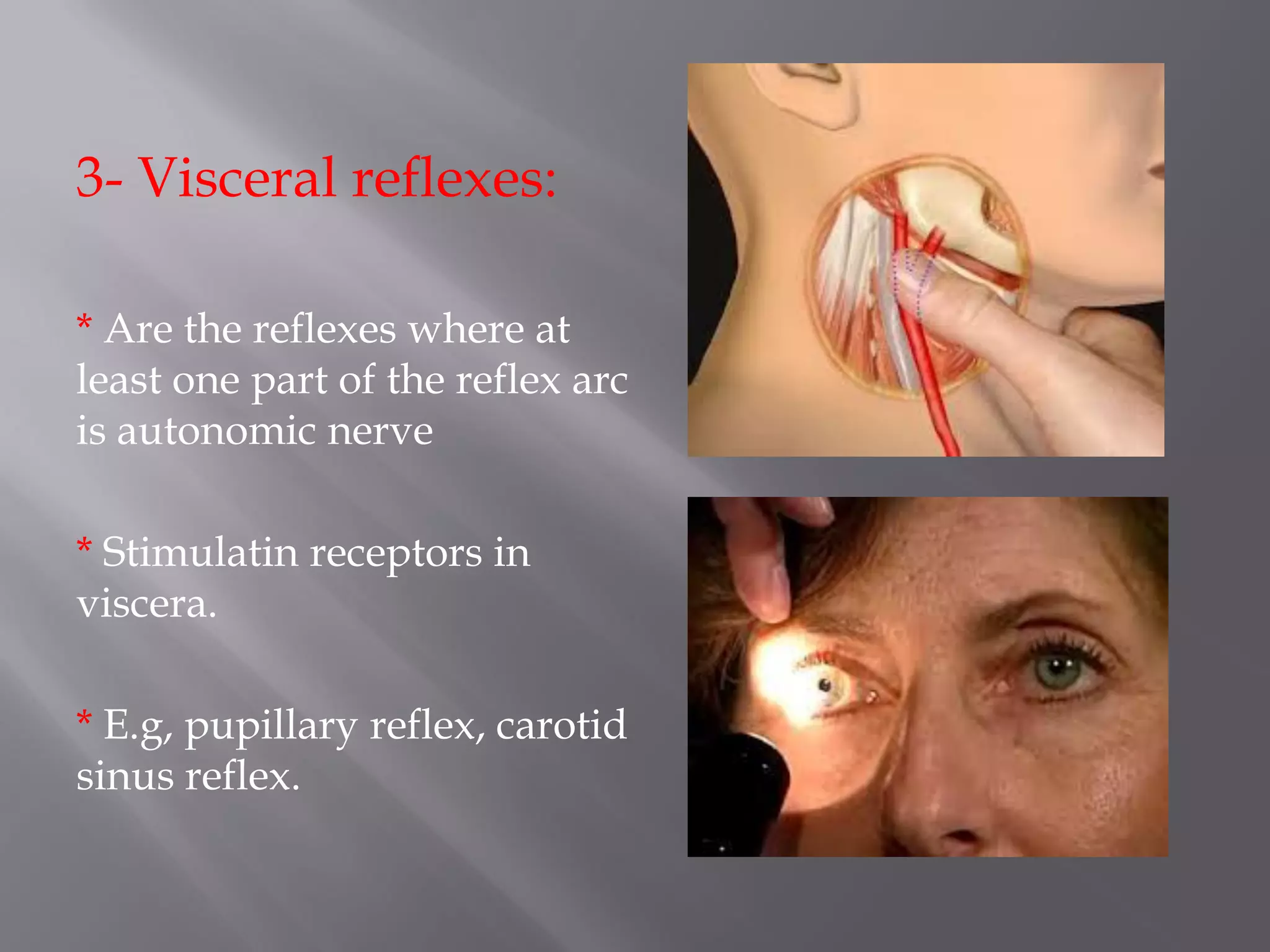 Classification of reflexes | PDF