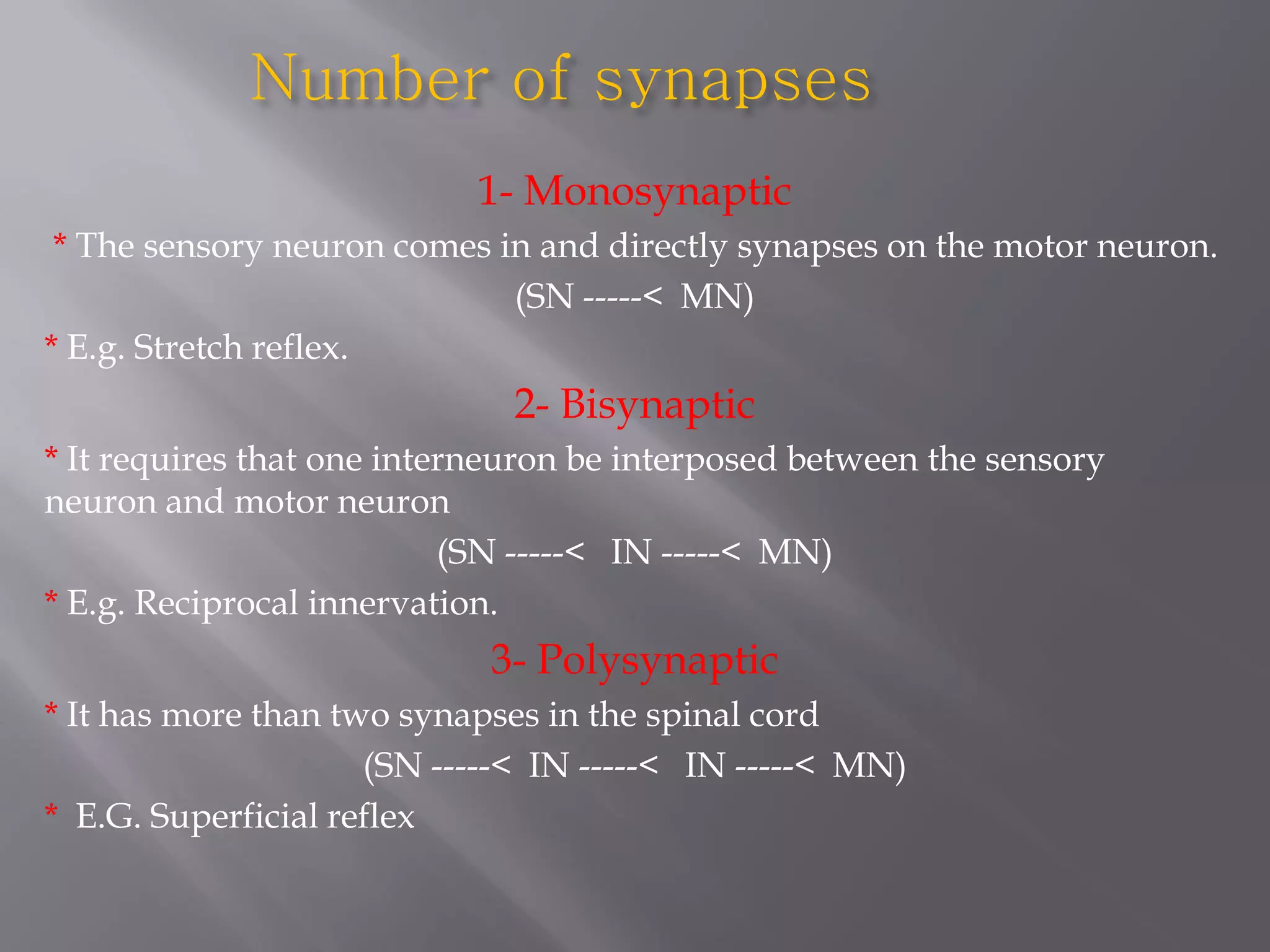 Classification of reflexes | PDF