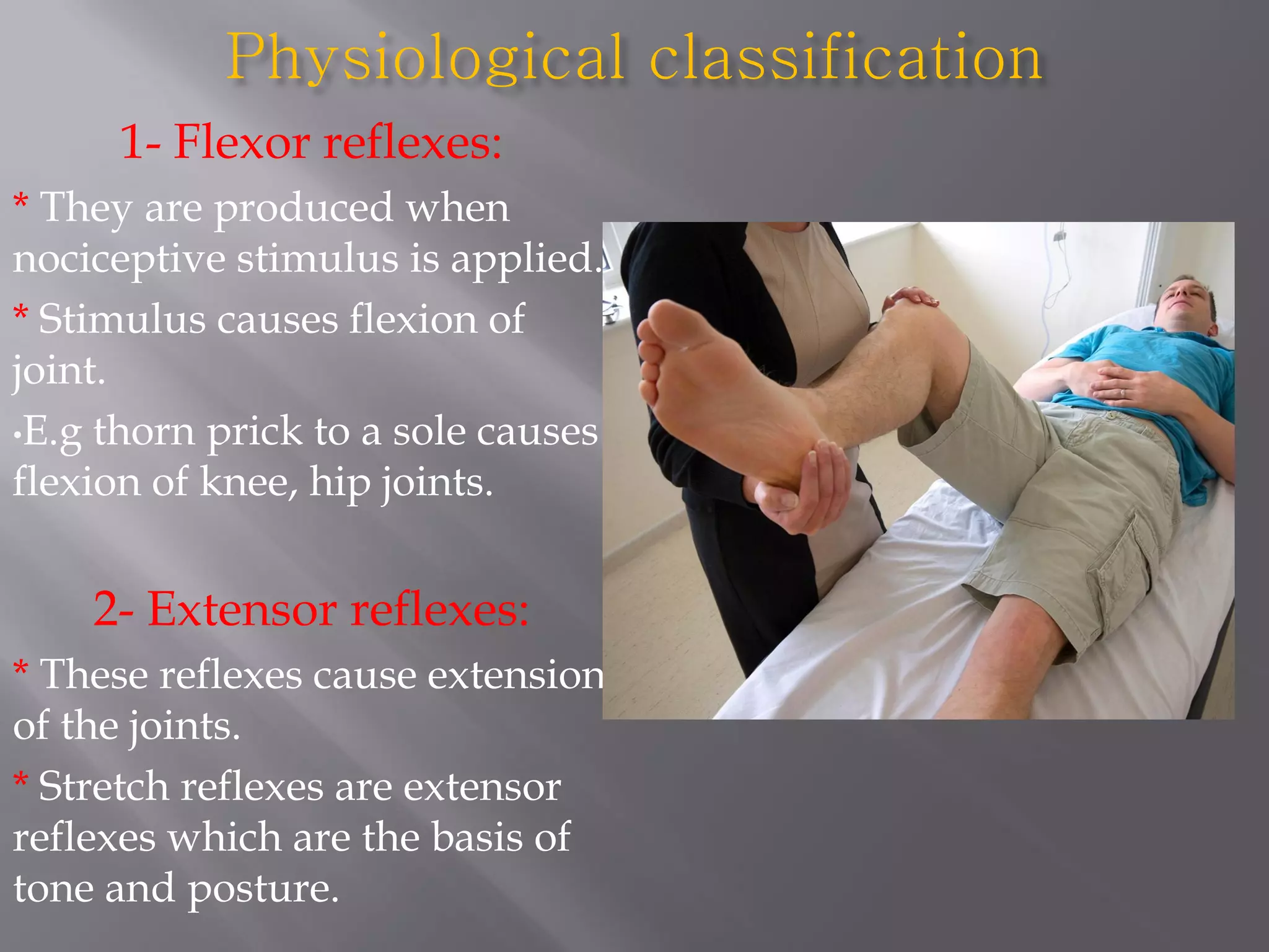 Classification of reflexes | PDF