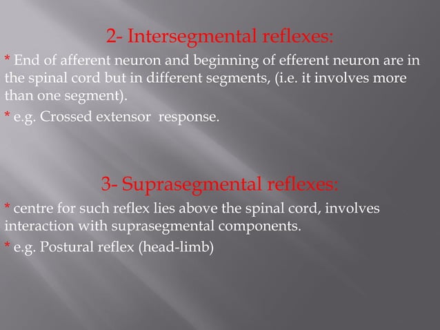 Classification of reflexes | PDF | Death, Injury, or Military Conflict ...