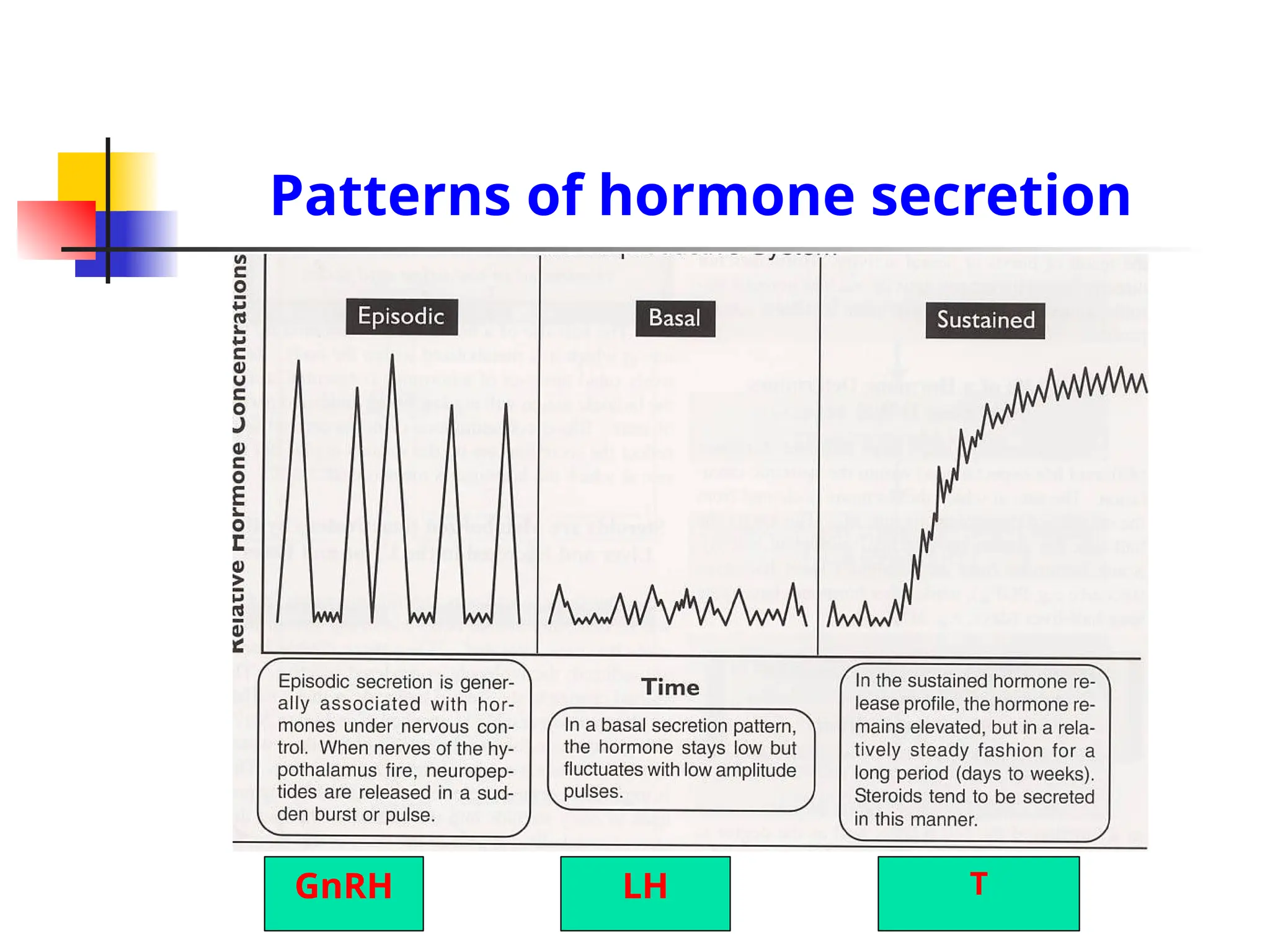 Classification of Repro hormones Bovines. pptx | PPTX