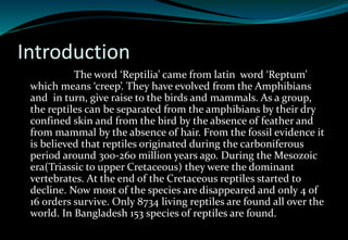Classification of reptiles | PPTX