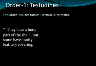 Classification of reptiles | PPTX