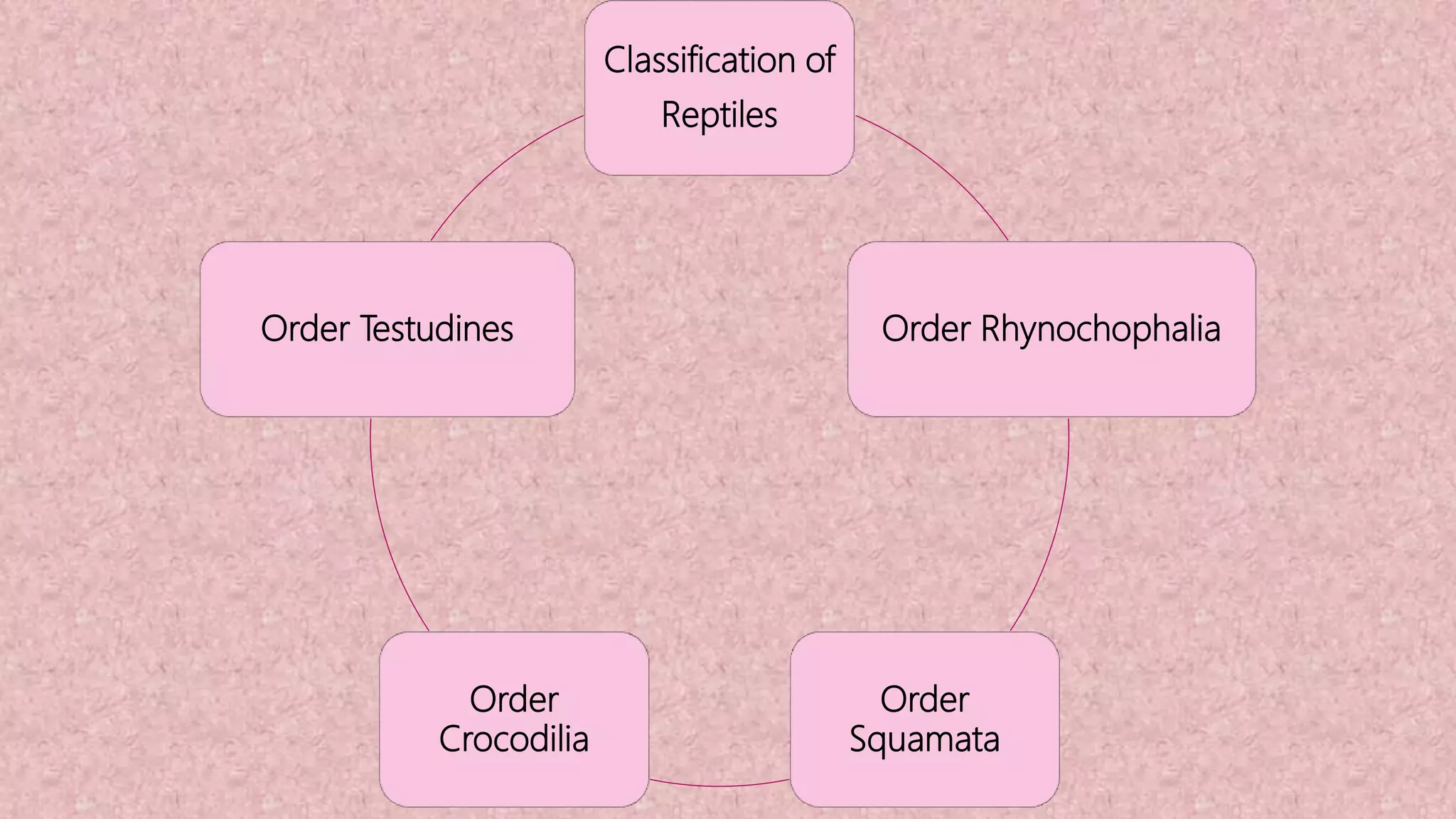 Classification of reptiles | PPTX