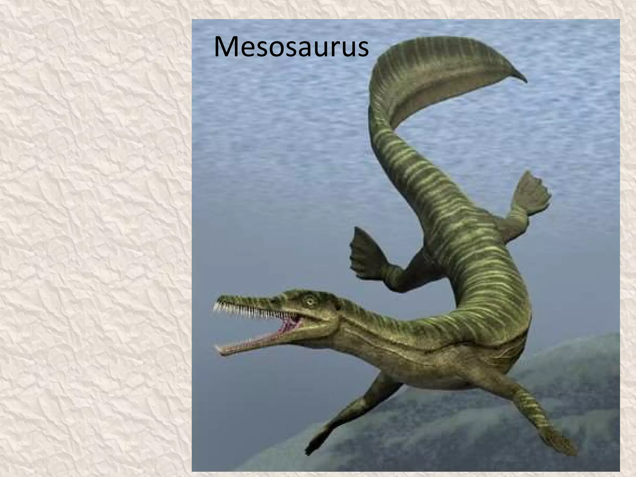 Classification of reptilia | PPT