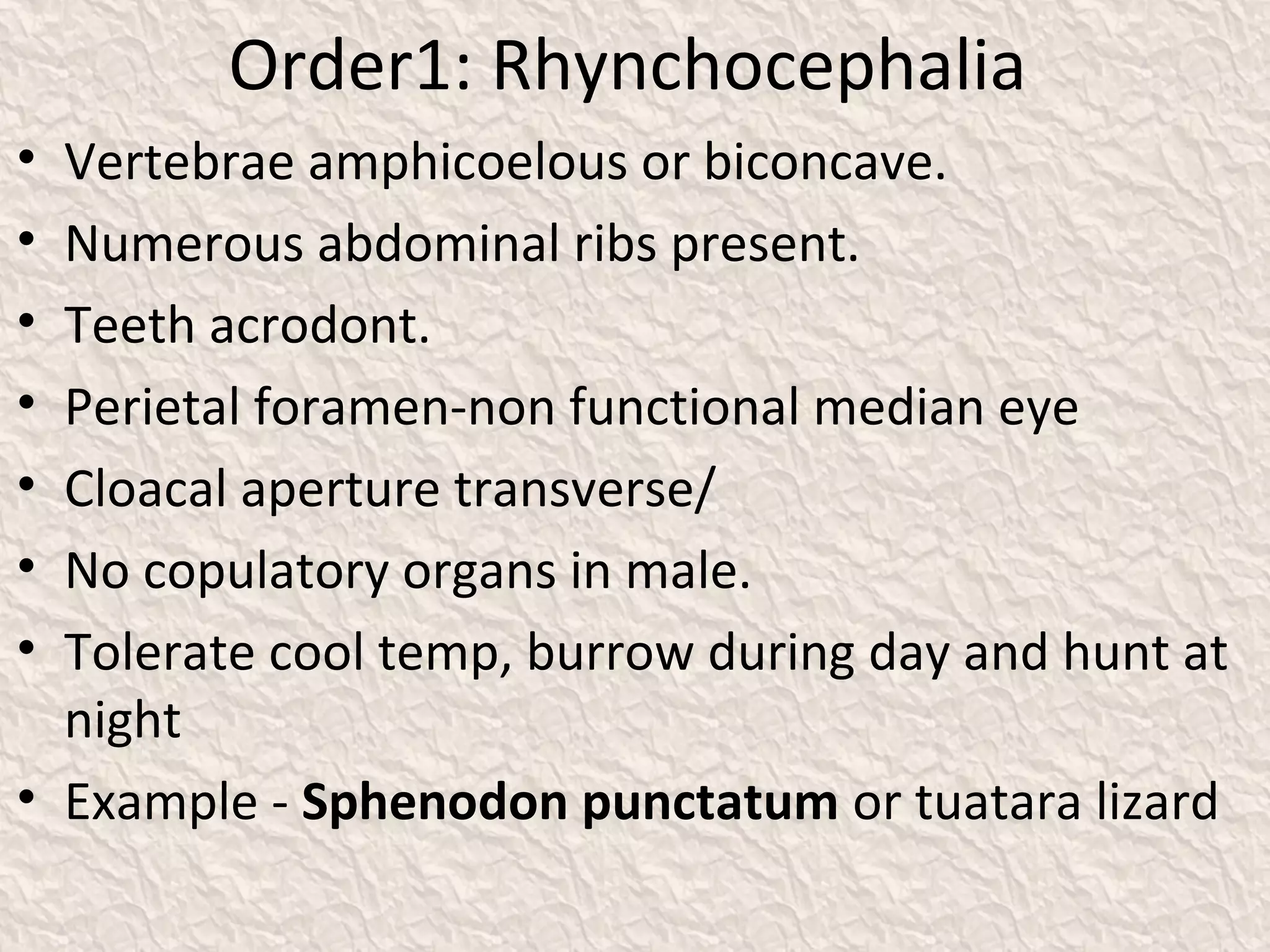 Classification of reptilia | PPT