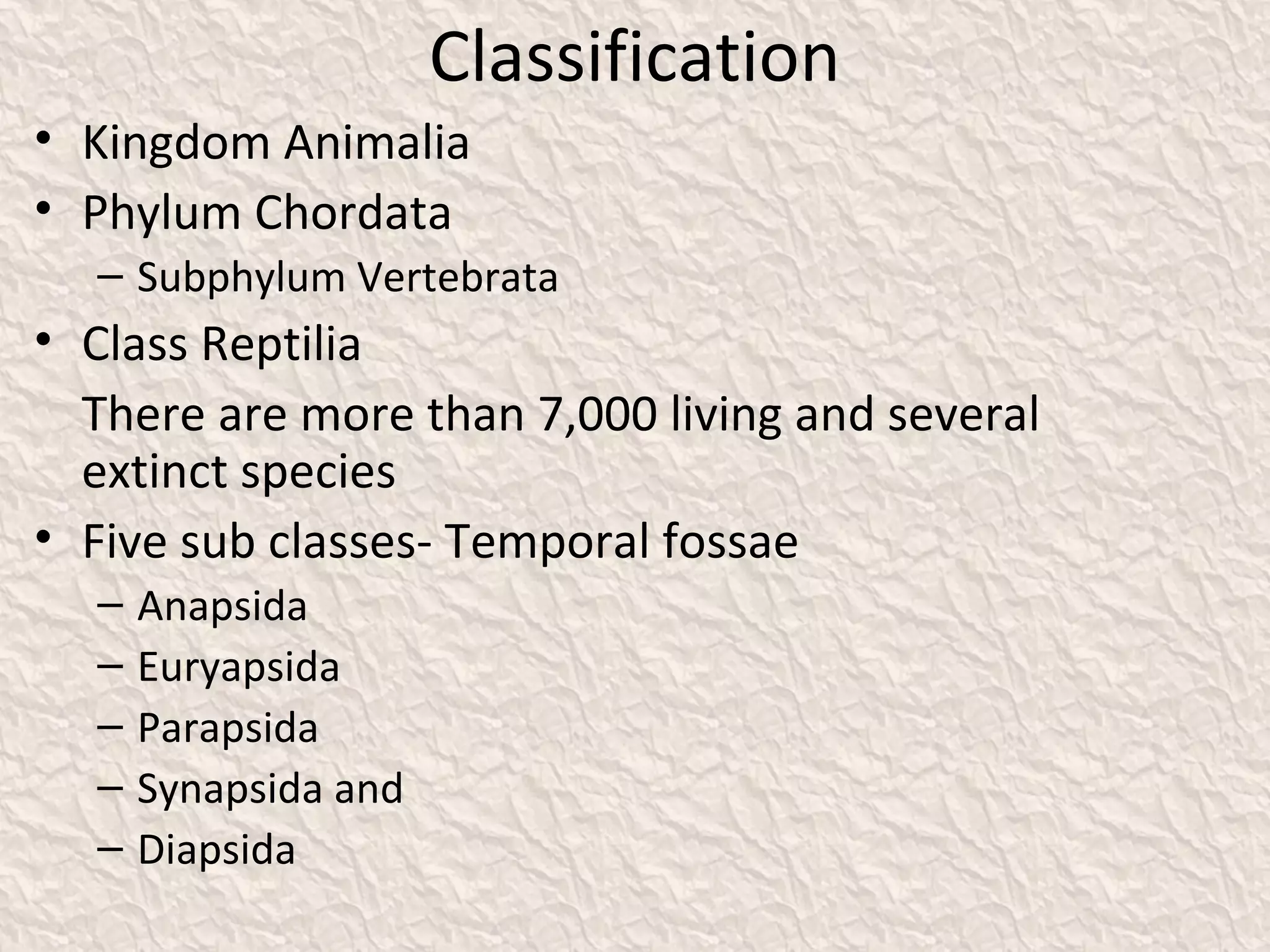 Classification of reptilia | PPT