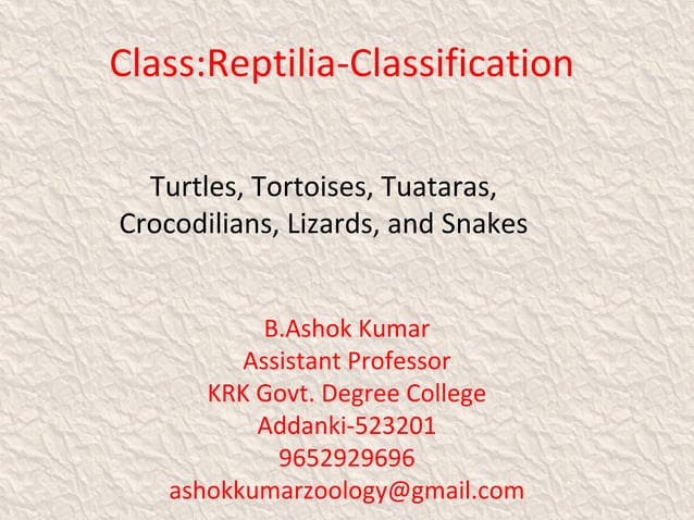 Classification of reptilia | PPT | Reptiles | Pets