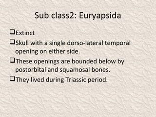 Classification of reptilia | PPT | Reptiles | Pets