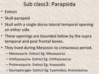 Classification of reptilia | PPT