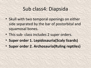 Classification of reptilia | PPT | Reptiles | Pets