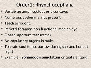 Classification of reptilia | PPT