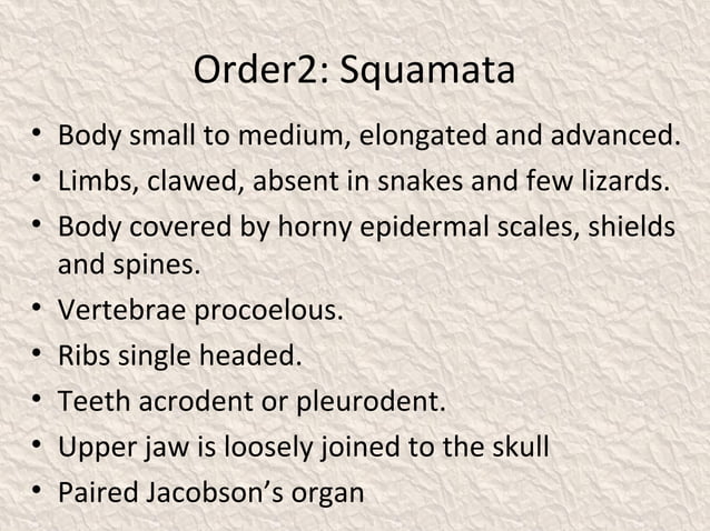 Classification of reptilia | PPT | Reptiles | Pets