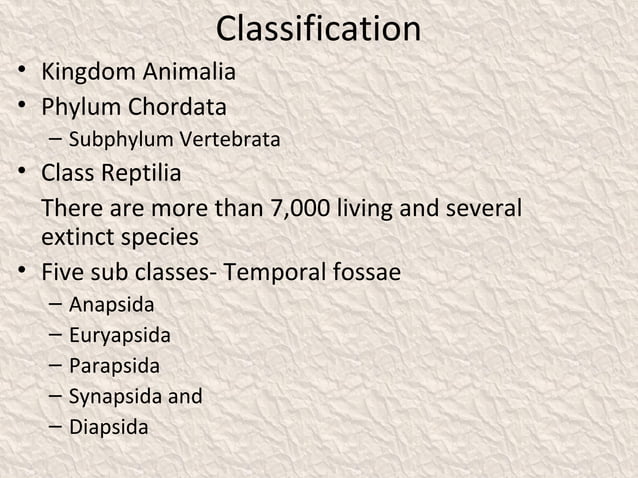 Classification of reptilia | PPT | Reptiles | Pets