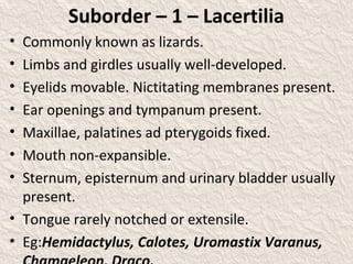 Classification of reptilia | PPT