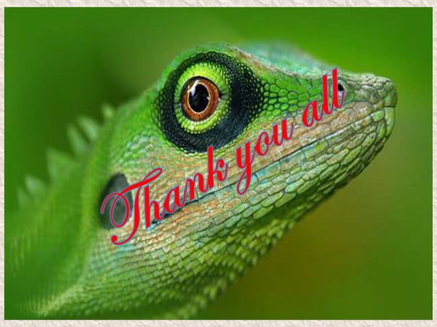 Classification of reptilia | PPT | Reptiles | Pets