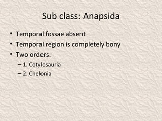 Classification of reptilia | PPT | Reptiles | Pets