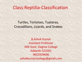 Classification Of Reptiles