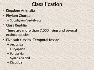 Classification Of Reptiles