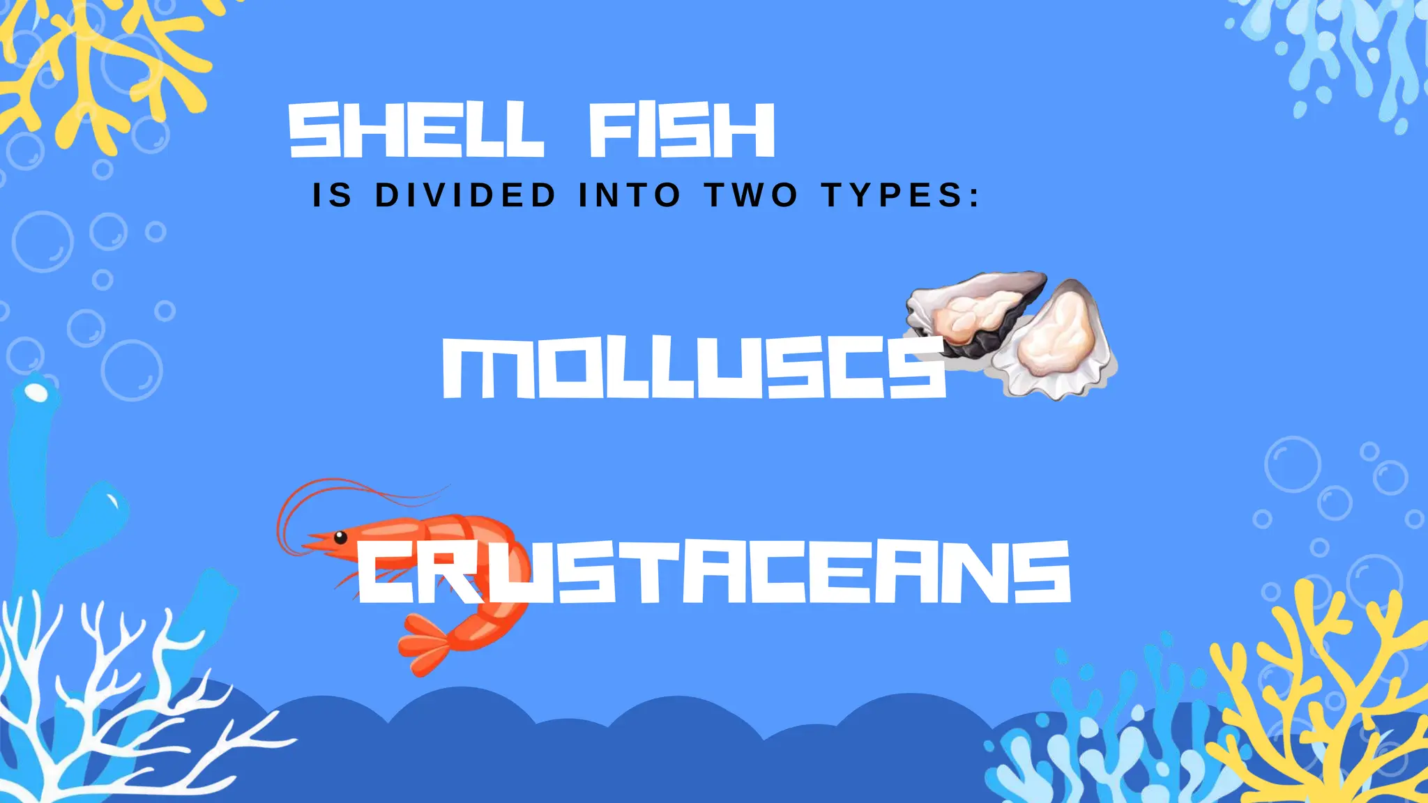 cookery 10-Classification of seafood.pptx