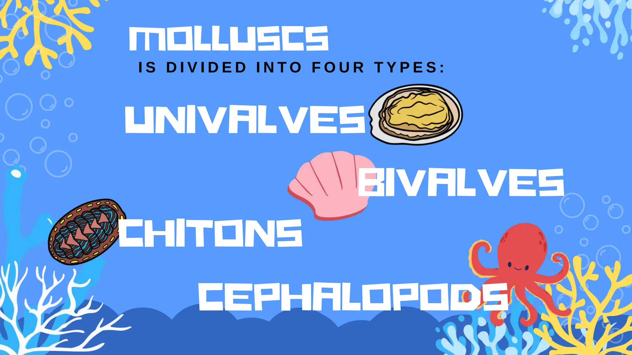 cookery 10-Classification of seafood.pptx