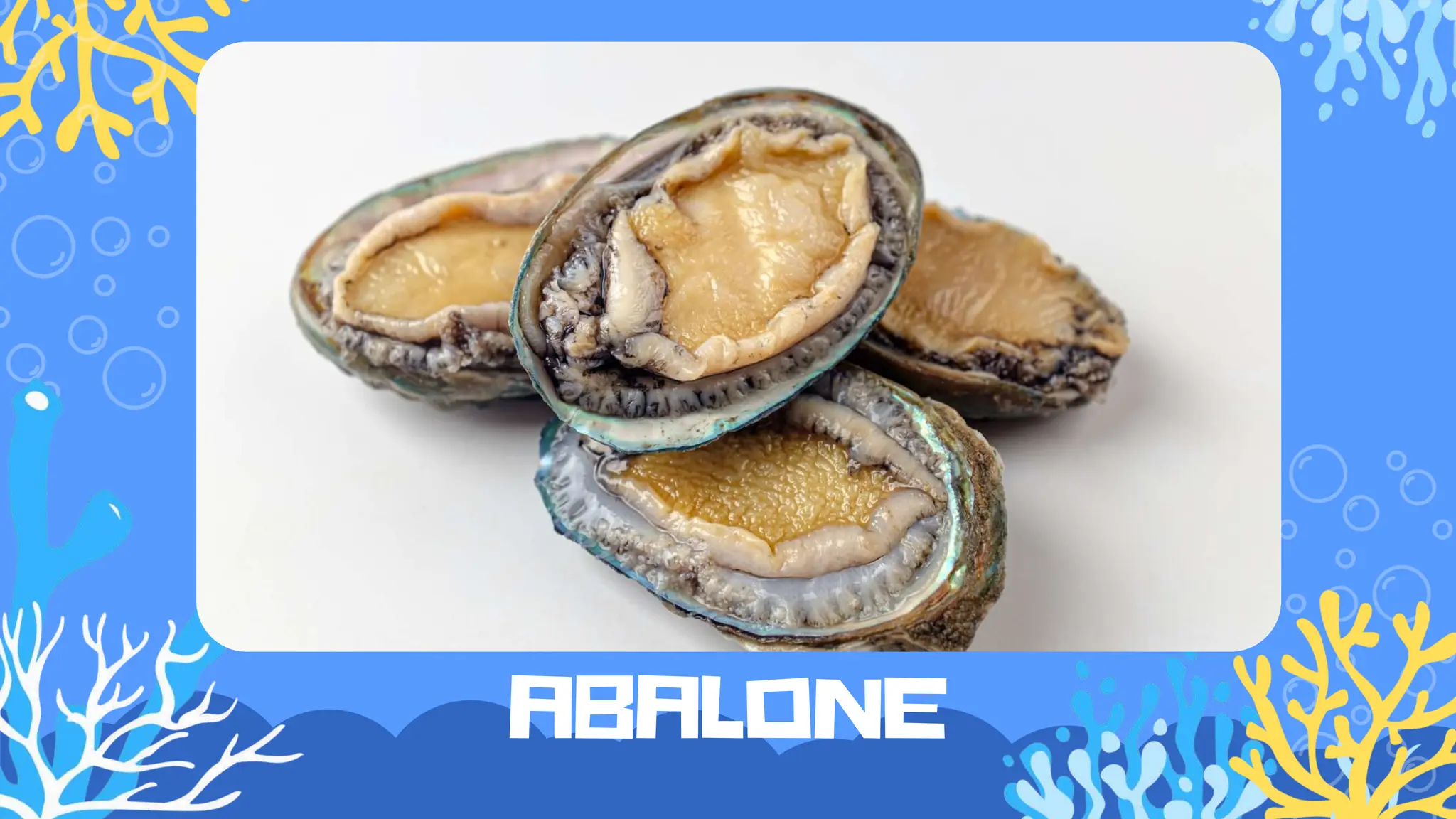 cookery 10-Classification of seafood.pptx