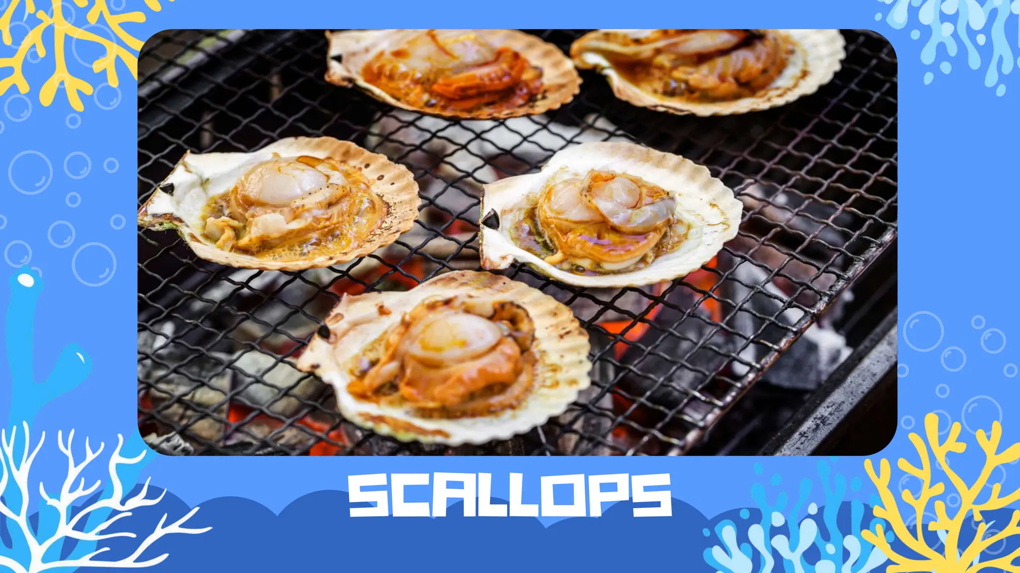 cookery 10-Classification of seafood.pptx