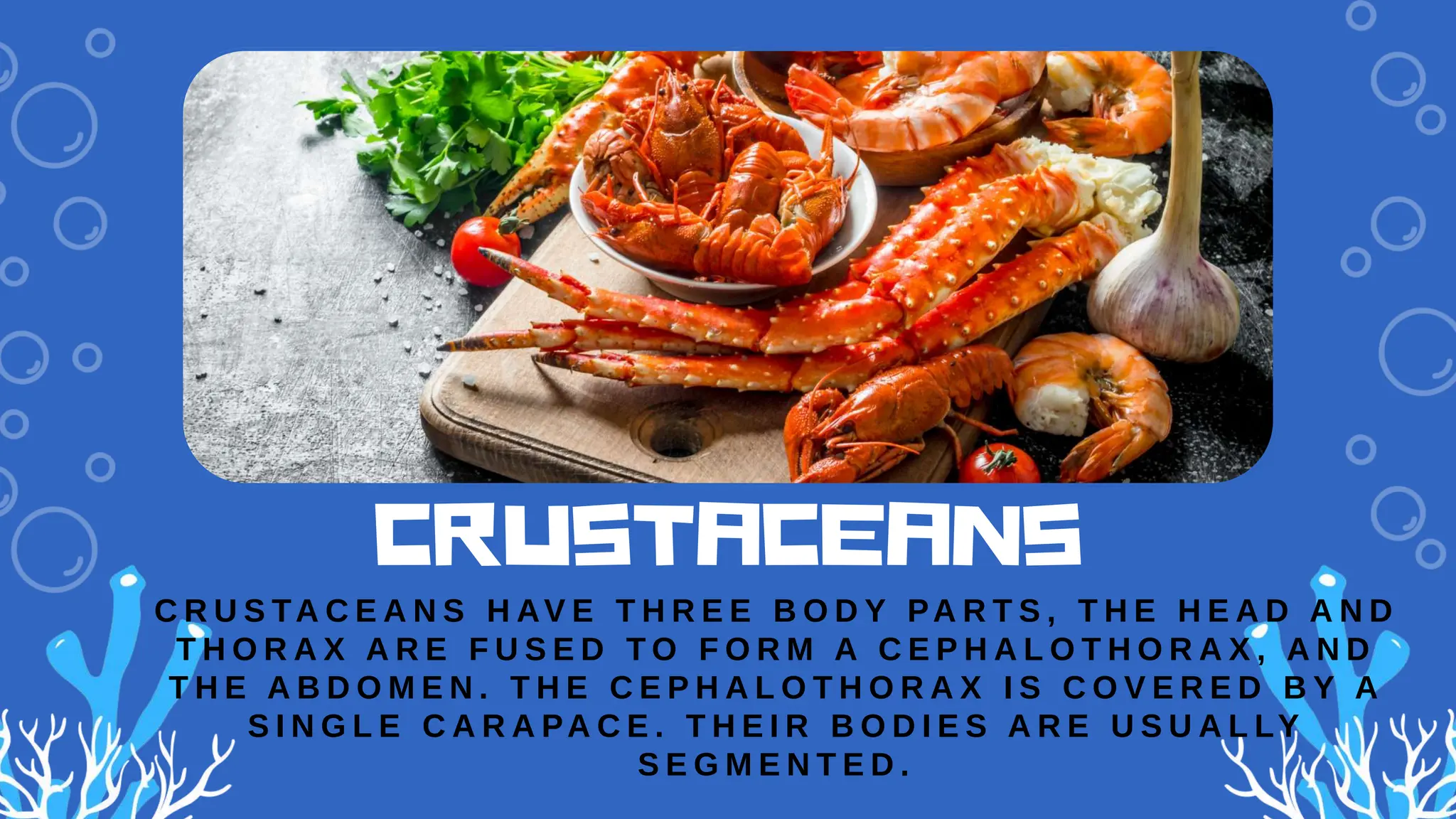 cookery 10-Classification of seafood.pptx