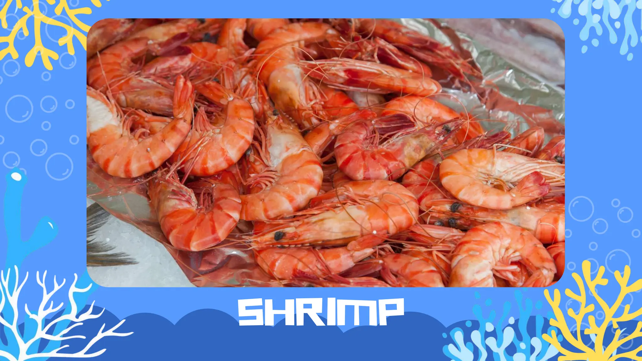 cookery 10-Classification of seafood.pptx