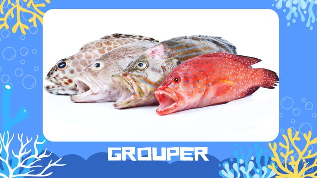 cookery 10-Classification of seafood.pptx | Fish and Aquariums | Pets